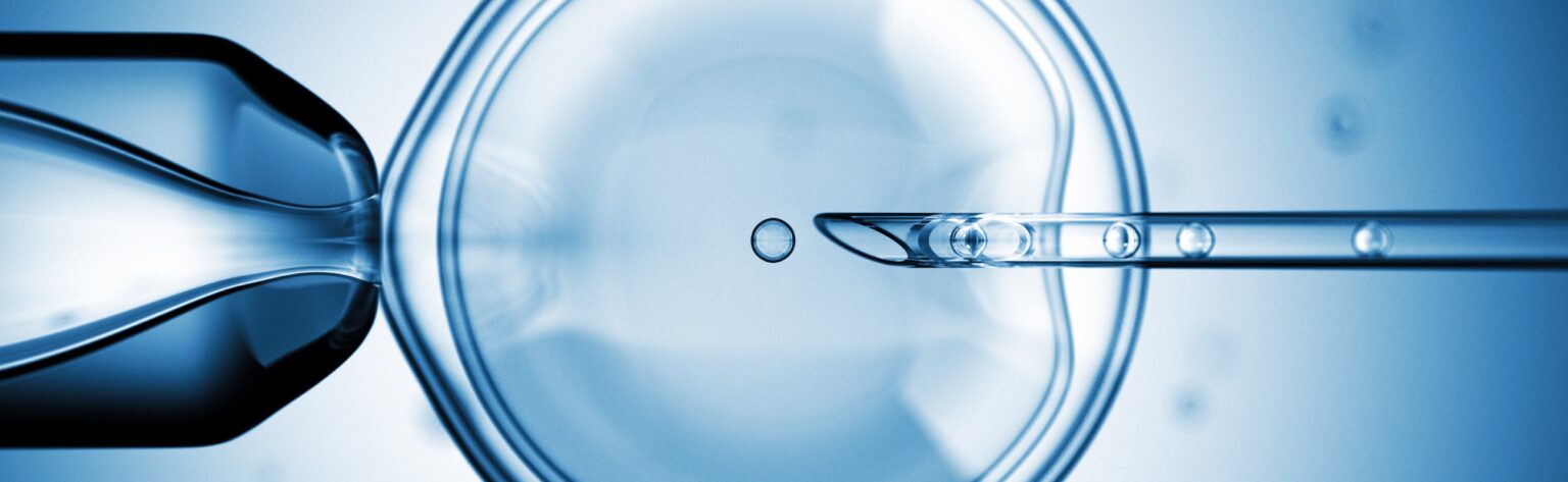 Les différents types de FIV : classique, ICSI, IMSI... laquelle choisir ...
